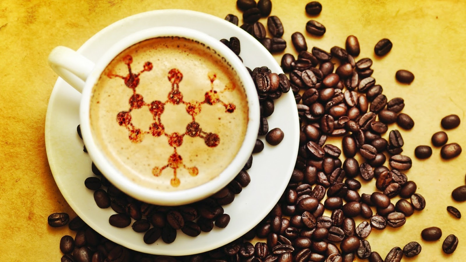 CMO, CDMO, CRO – what if any is the difference? - Science Lantern